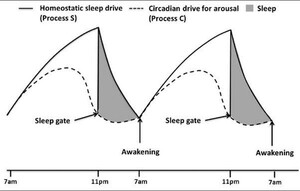 [Ethics] Sleep and Ethics: Why Do We Wake Up Unrested Even After ...